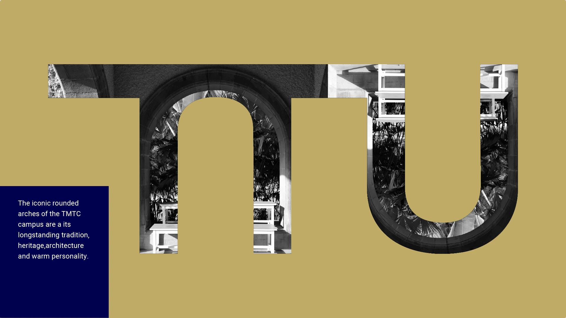 OLTER Agency